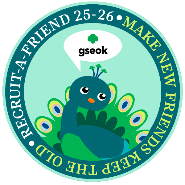 Council Patch Programs